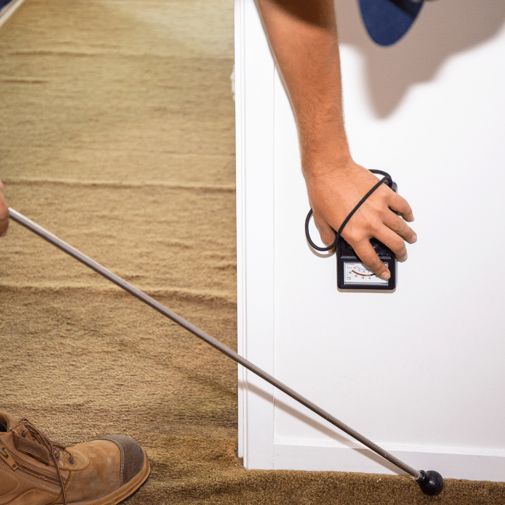 Termite Home Inspection for Homebuyers | SUPER Inspector