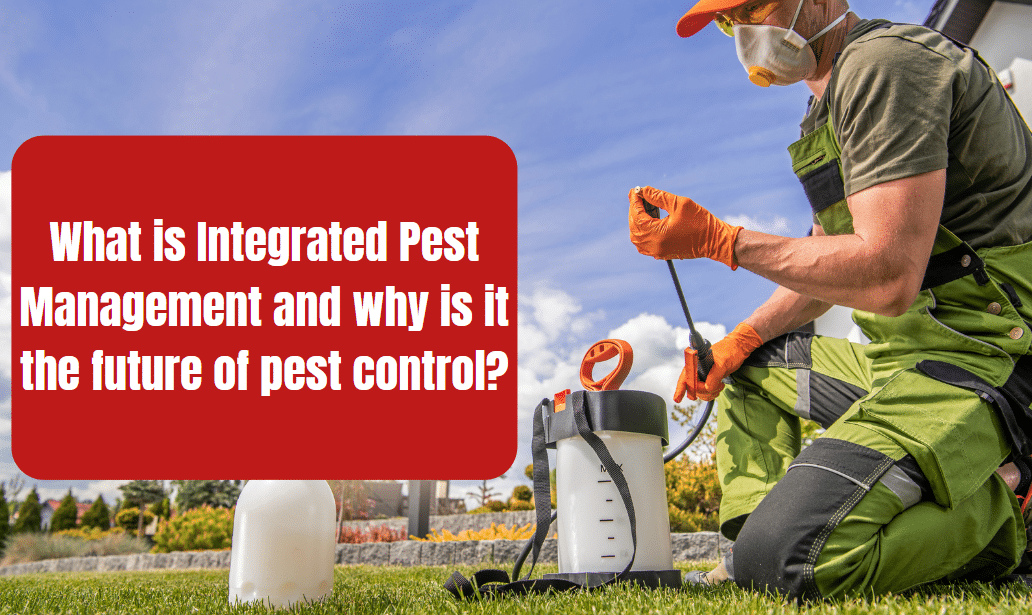What is Integrated Pest Management? | Super Team Services